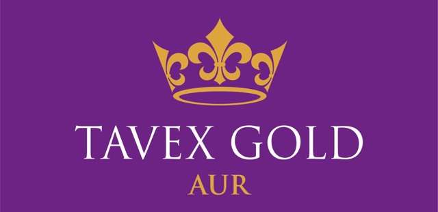 Rezultatele Tavex România în 2024 și perspectivele pentru 2025 - Tavex